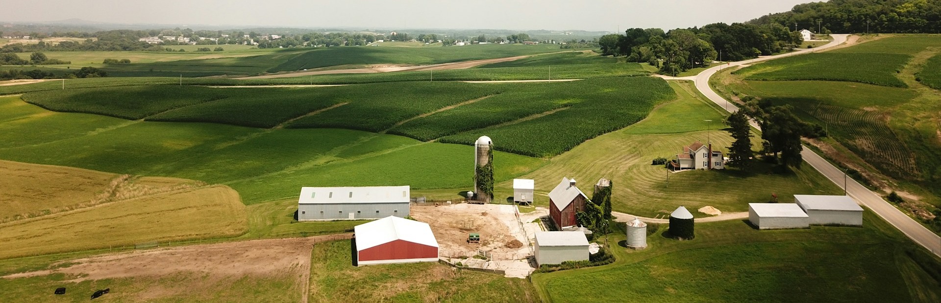 STC Food - Global Leader in Food Import/Export and Distribution ...