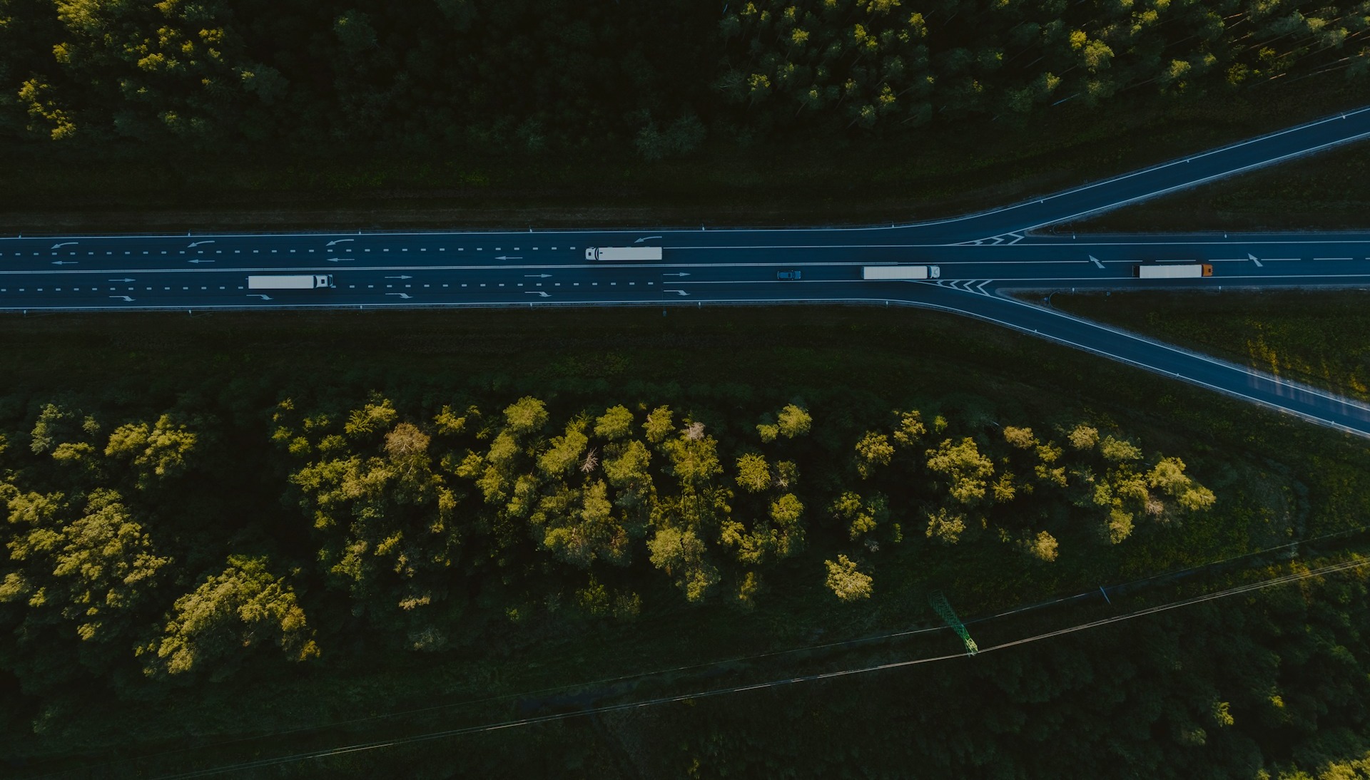 Reliable Food Product Sourcing & Competitive Pricing | STC Food - STC food